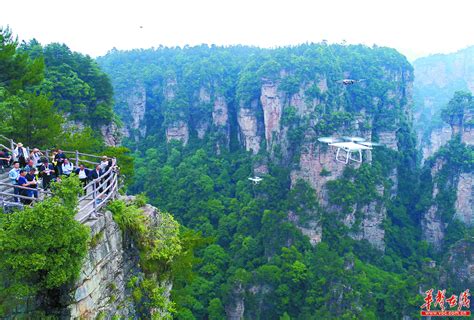 飞阅武陵源 一掠奇峰美 焦点图 湖南在线