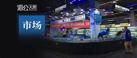 2022上半年巴沙鱼进口量猛增，和黑鱼，斑点叉尾成三大顶流！ 知乎