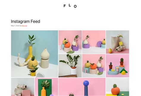 The Ultimate Guide To Integrating Spotlight Instagram Feeds With