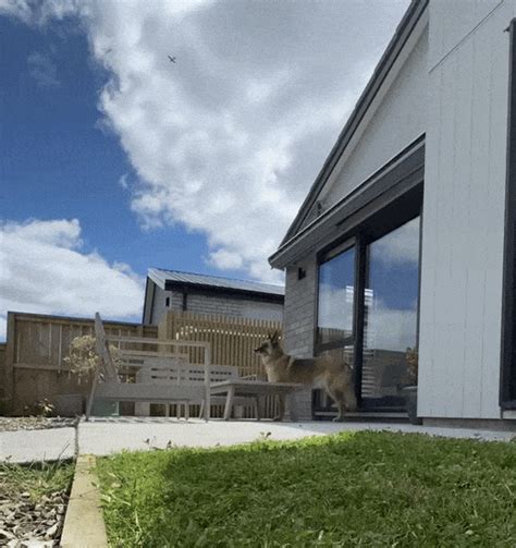 Awning Monoblock Ellipse Auckland Total Look Blinds