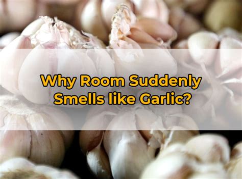 Room Suddenly Smells Like Garlic Why And What To Do Punk Project
