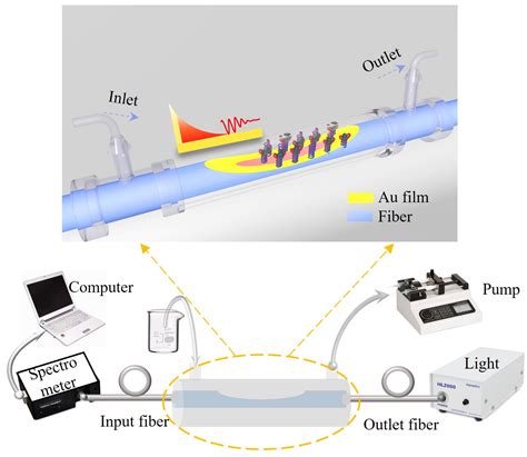 Biosensors Free Full Text A D Shaped Polymer Optical Fiber Surface