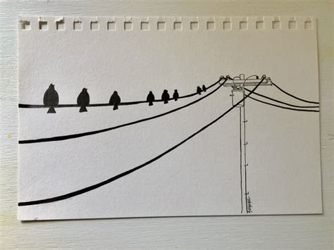 Birds On A Wire Sketch Telephone Pole Telephone Wire Draw Micron Copic Illustration