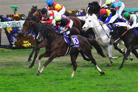 マイルcs サリオス14着 ピースオブエイト9着 毎日が一口馬主！