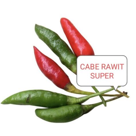Jual Biji Benih Cabe Rawit Super Siap Semai Shopee Indonesia