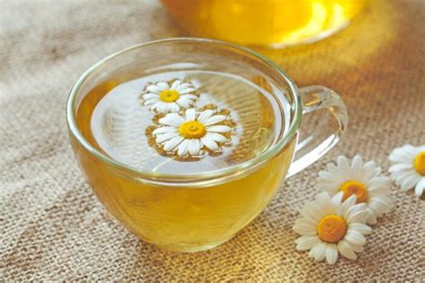 Soothing Chamomile In 2024 Chamomile Tea Herbal Teas Recipes Herbalism