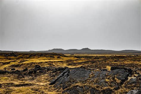 아이슬란드 이끼 Pixabay의 무료 사진 Pixabay