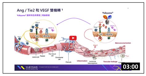 【新創幫vol111】微創手術風潮下，手術導航系統前景可期 林口長庚廖漢聰發展一次性精準完成顱顏重建新技術 陽明交大林慶波發展神經