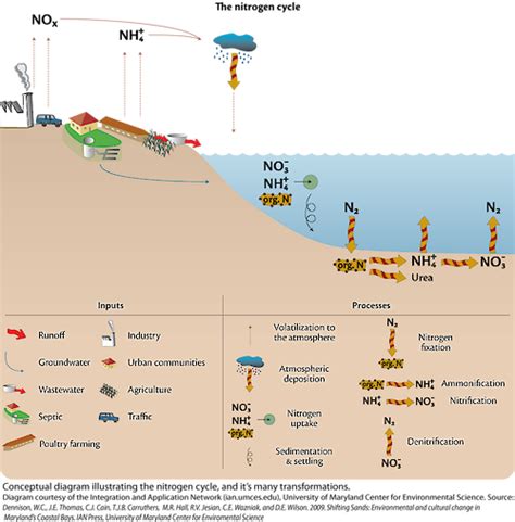 The Nitrogen Cycle Media Library Integration And Application Network