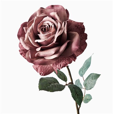 Ruby Clapham Death Notices Melbourne My Tributes