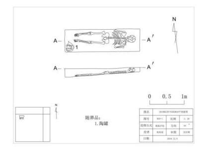 安徽枣树棵城墩遗址项目 中勘华通考古科技有限公司