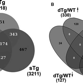 Global Proteomic Analysis Of Renal Tissue Homogenates Obtained From Download Scientific Diagram
