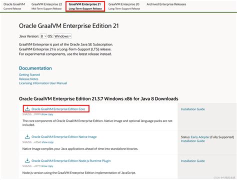 Java使用graalvm Native Image打包可执行程序java Native Image Csdn博客