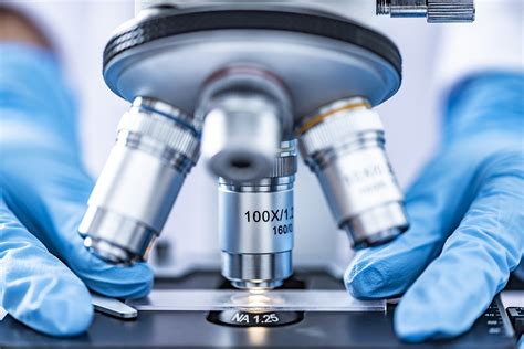 Targeted Sequencing What Is It And How Does It Work