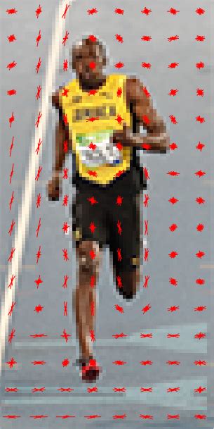 Pengertian Histogram Of Oriented Gradients Hog Dan Cara Hitungnya Trivusi