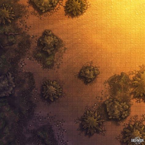 Oc 30x30 Mangrove Swamp Sunrise Dndmaps Mangrove Swamp Sunrise
