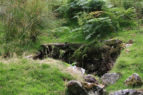 Ffynnon Cwm Ewyn Iewyn Llangynog Well Hopper
