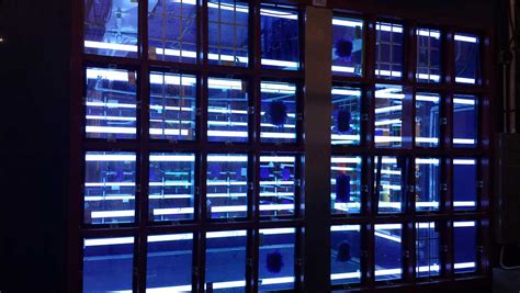 Insulated Glass Unit Igu Testing And Certification Qai