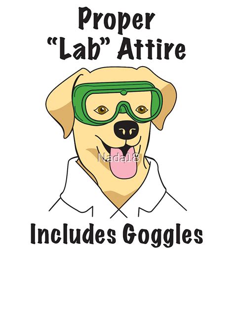 Lab Attire Funny At Eden Goldfinch Blog