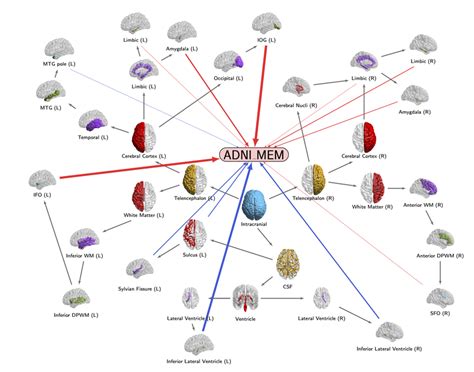 Relevant Brain Regions A With A Nonzero Direct Effect And B With A Download Scientific