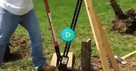 Using A Carjack To Pull A Small Tree Stump Out Of The Ground Album On