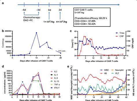 Cd7 Car T Cell Therapy Regime And Clinical Characteristic After