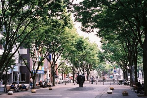 新緑の街 By つるじい （id：5608512） 写真共有サイトphotohito