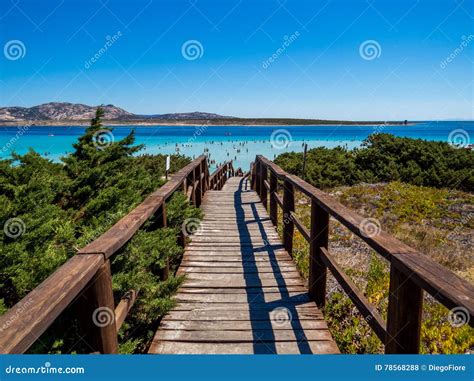 La Pelosa Beach Stintino Italy Stock Photo Image Of Clean