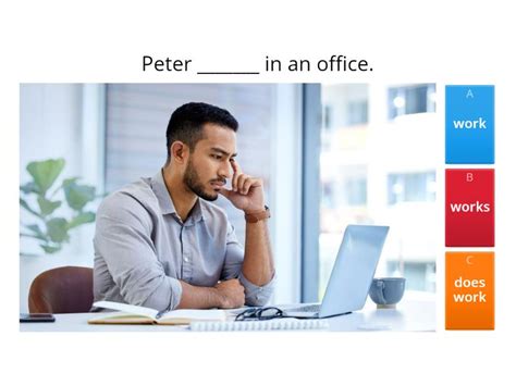 Present Simple Questionário