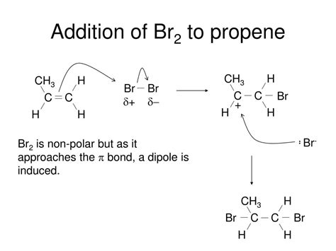 Ppt Functional Groups Powerpoint Presentation Free Download Id3702929