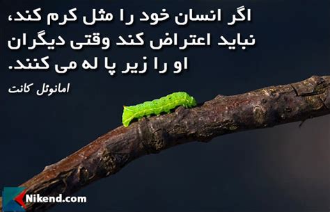 امانوئل کانت اگر انسان خود را مثل کرم کند، نباید اعتراض کند وقتی دیگران او را زیر پا له می کنند