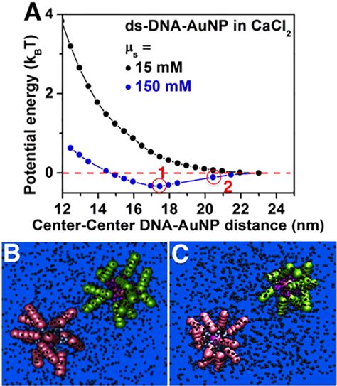 Effective Interaction Potential Between Two Dna Grafted Aunps A
