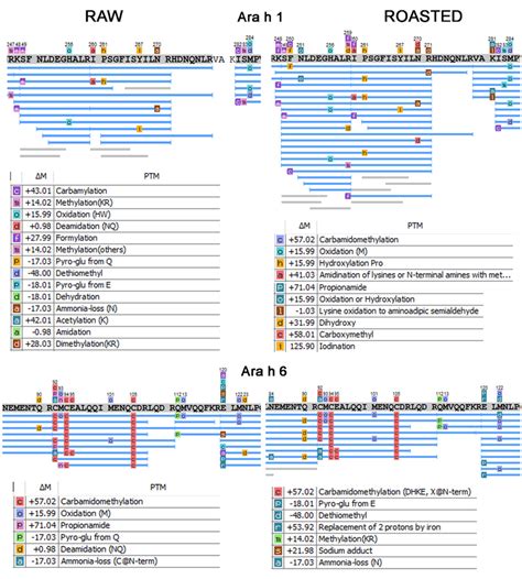 Selected Sequence Stretches Mapped As Immunodominant Epitopes Of Ara H