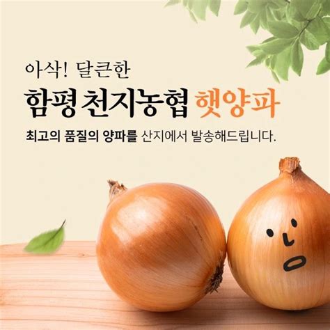 함평천지몰 나비고을 함평에서 자란 양파 햇양파 함평양파 아삭한 식감과 달큰한 함평 천지농협