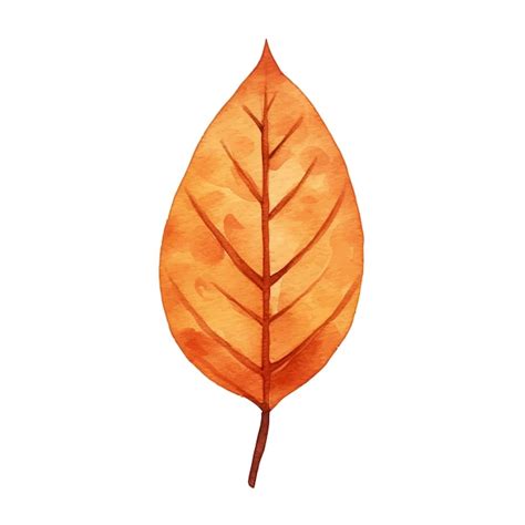 Hojas De Otoño De Acuarela Vector Premium