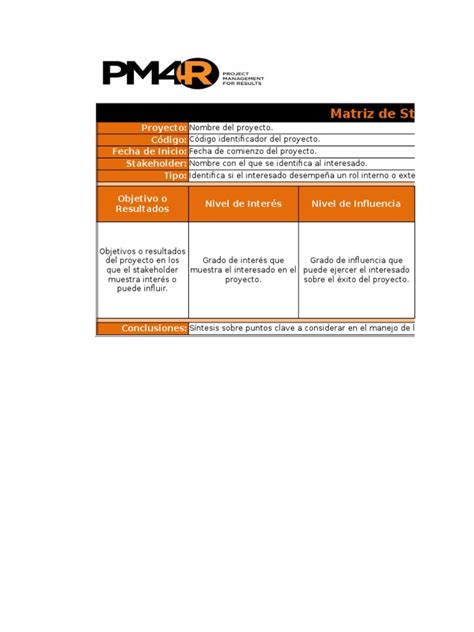 Ejemplo De Matriz De Stakeholders Pdf Grupo De Interés Corporativo