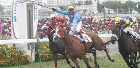Hippisme Tandragee Offre La Coupe Dor Et La Tête Du Championnat à L