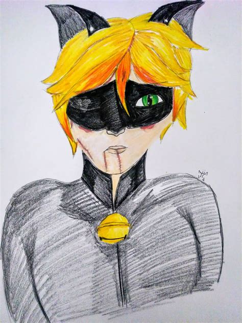 Cat O Nine Tails Fanart By Quantumchickpea On Deviantart