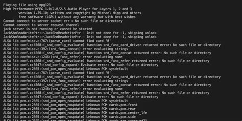 Using Audio In Docker Container Playground For The Mind