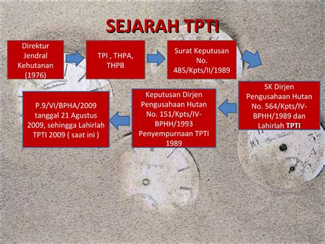 Tebang Pilih Tanam Indonesia Tpti Ppt