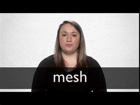 MESH Definition And Meaning Collins English Dictionary