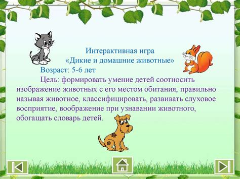Интерактивная игра «Дикие и домашние животные Возраст 5 6 лет