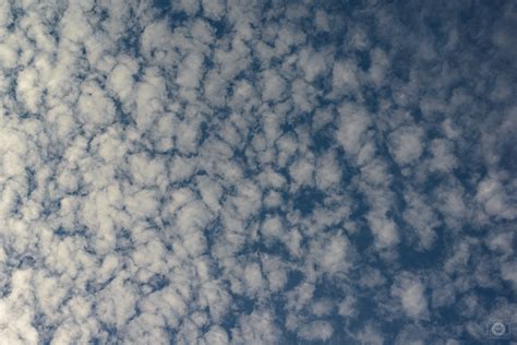 Cirrus Clouds Background High Quality Free Backgrounds