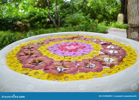Fiori in acqua fotografia stock. Immagine di arancione - 61285690
