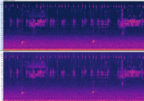Owl Sense V11 Bioacoustic Recorder
