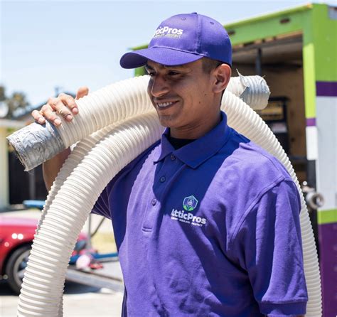 Rat And Mice Pest Control Services In Bay Area Attic Pros