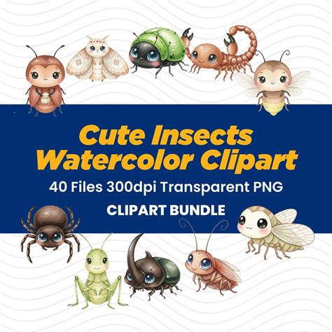 Watercolor Insect Clipart Bundle Bug Png Files 300 Dpi Etsy