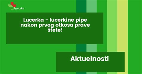 Lucerka Lucerkine Pipe Nakon Prvog Oktosa Prave Štete Agrolekar