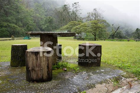 공원에서 로그 테이블 스톡 사진 Freeimages