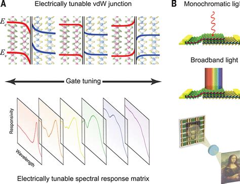 Miniaturized Spectrometers With A Tunable Van Der Waals Junction Science
